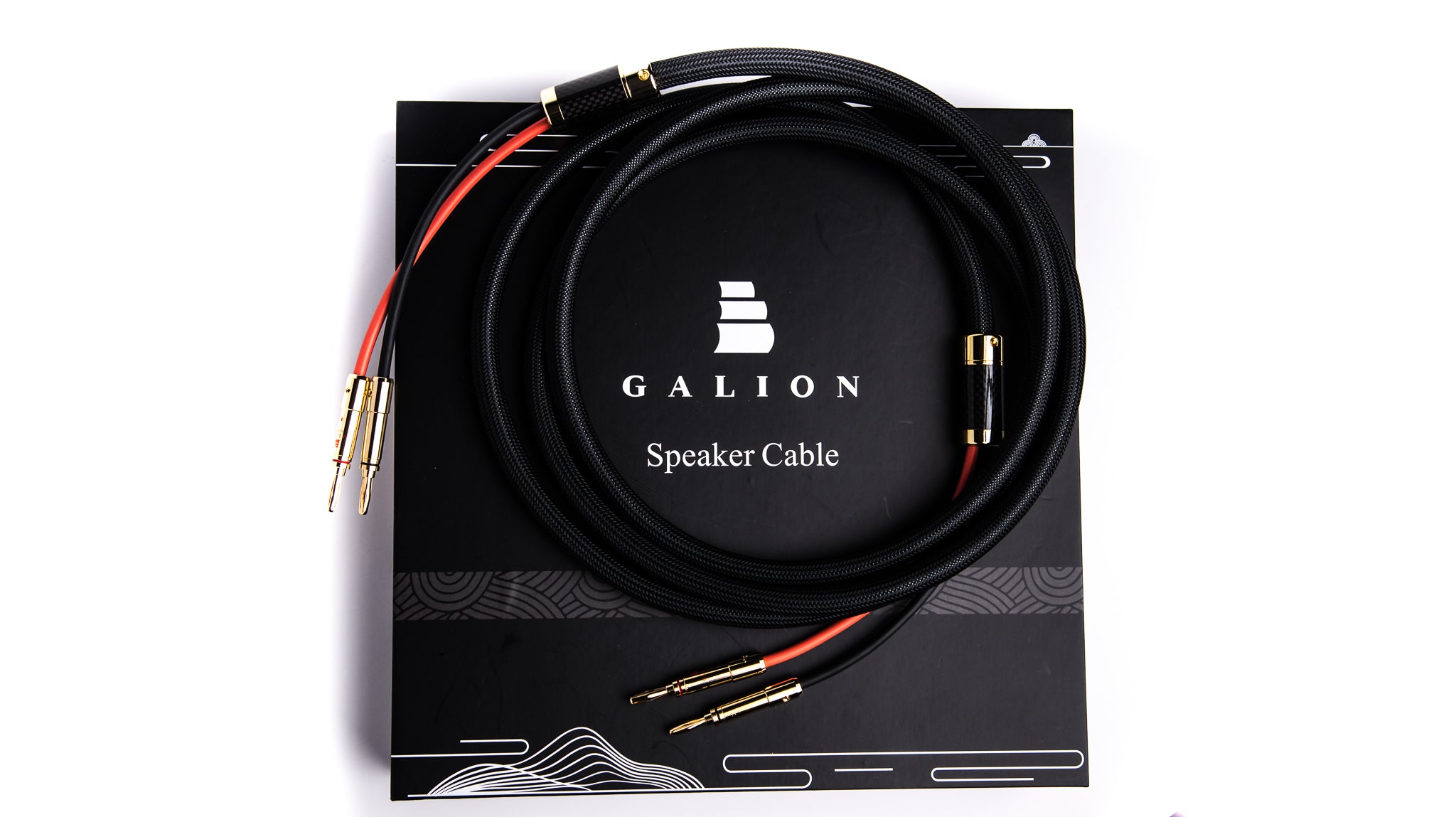 C100 cable – ThomasAndStereo